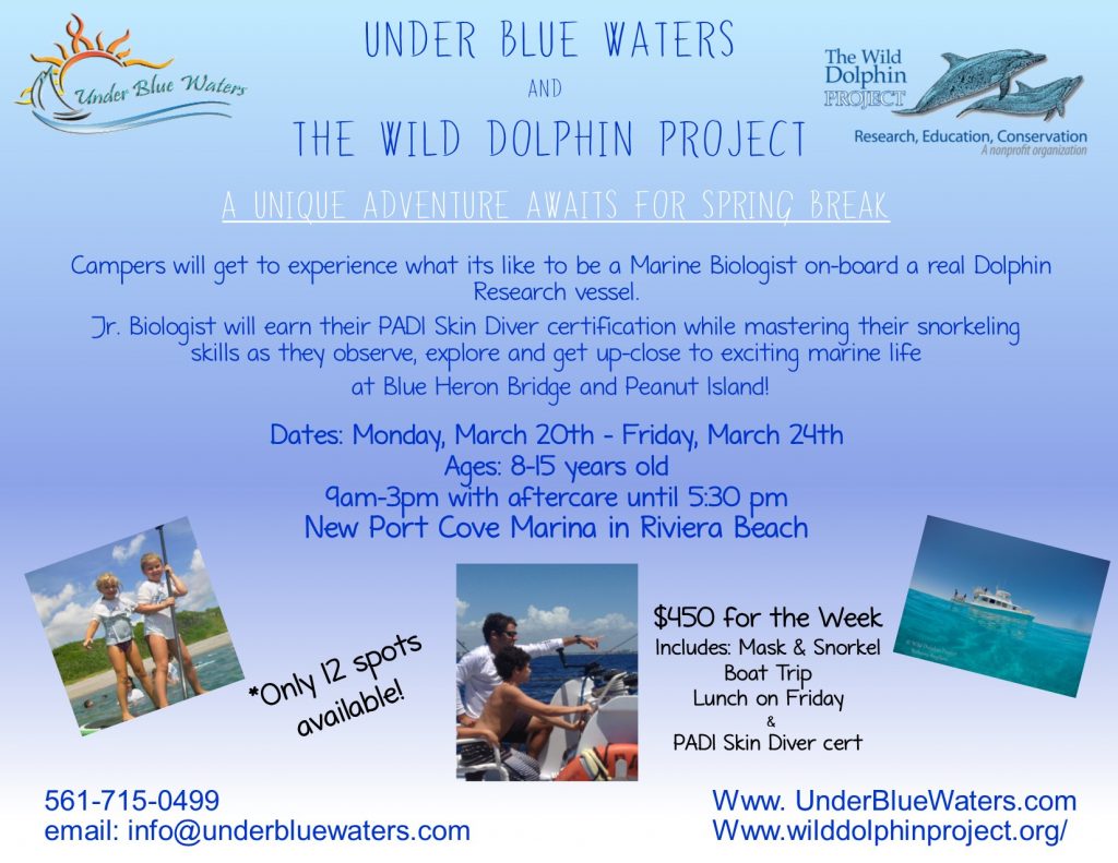 Wild Dolphin Project – NewwilddolphinSPRING