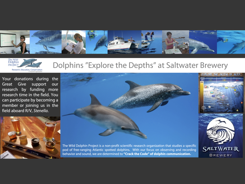 Wild Dolphin Project – SWB poster – scale down