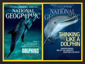 Home - Wild Dolphin Project