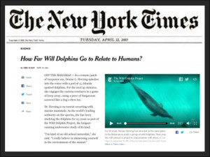 Home - Wild Dolphin Project