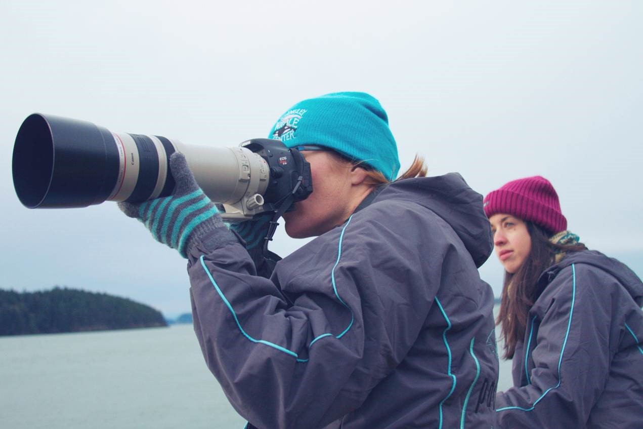 Wild Dolphin Project