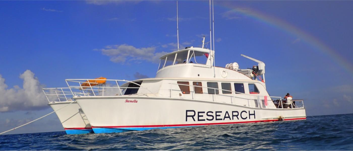 Wild Dolphin Project