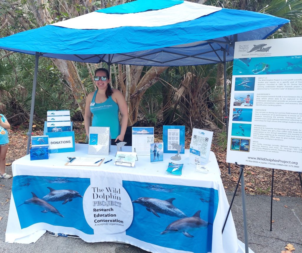Wild Dolphin Project – 12 Ways to Save Dolphins