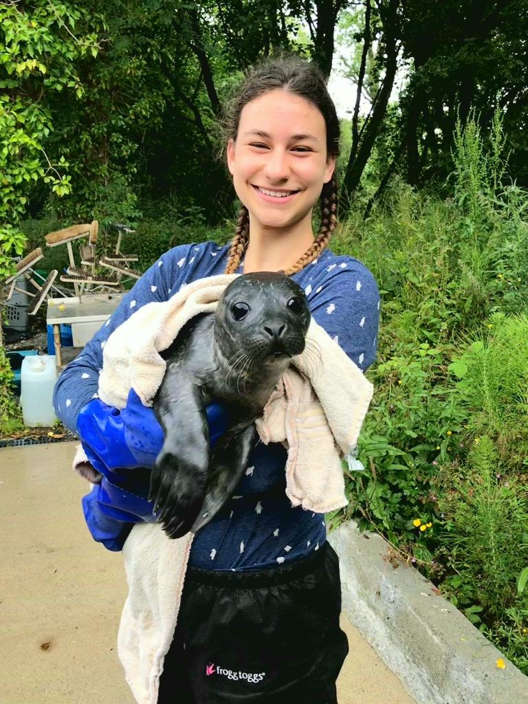 Wild Dolphin Project – Meet the Team: Alexandra Rose