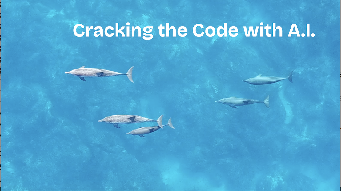 Wild Dolphin Project